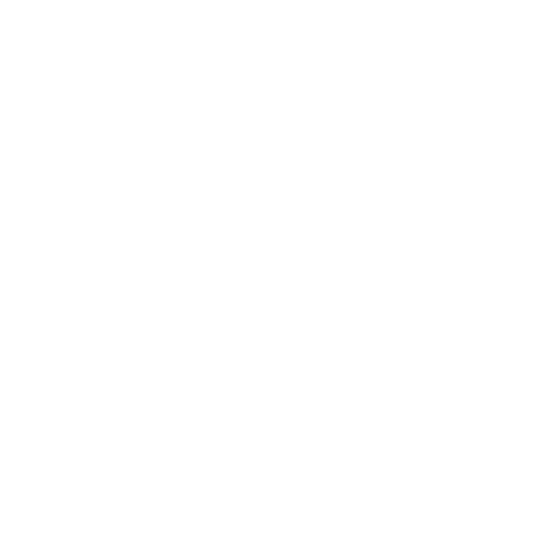 Brand Logo & Guidelines | Code First Girls